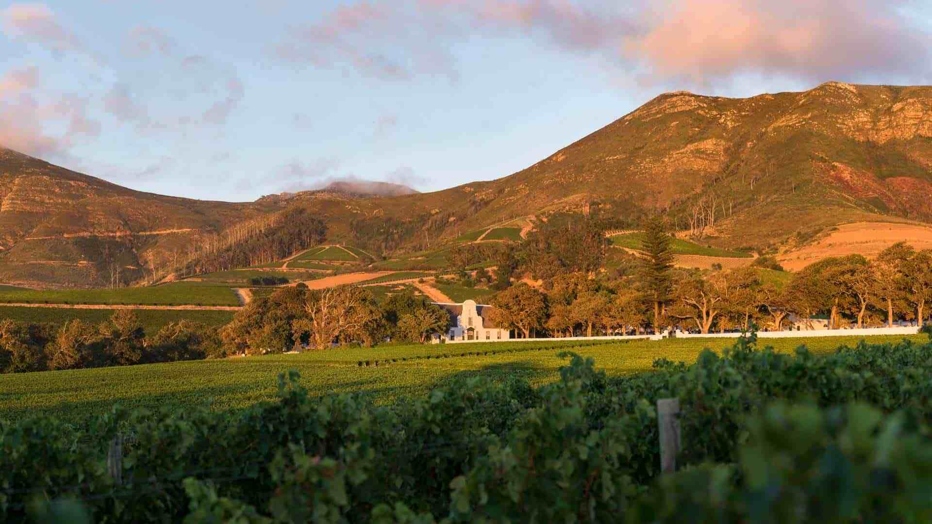 Things to do when visiting Constantia Cape Town | Southern Comfort ...
